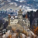 Brown Bear Sanctuary, Bran Castle & Rasnov Fortress Day Tour - Discovering Romania’s Unique Attractions