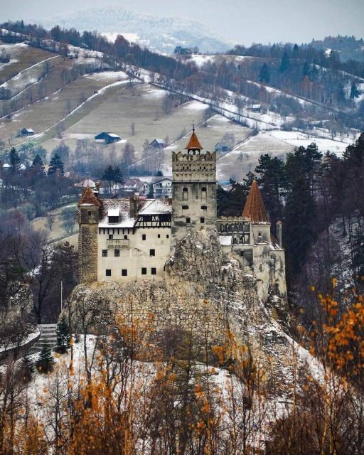 Brown Bear Sanctuary, Bran Castle & Rasnov Fortress Day Tour - Discovering Romania’s Unique Attractions