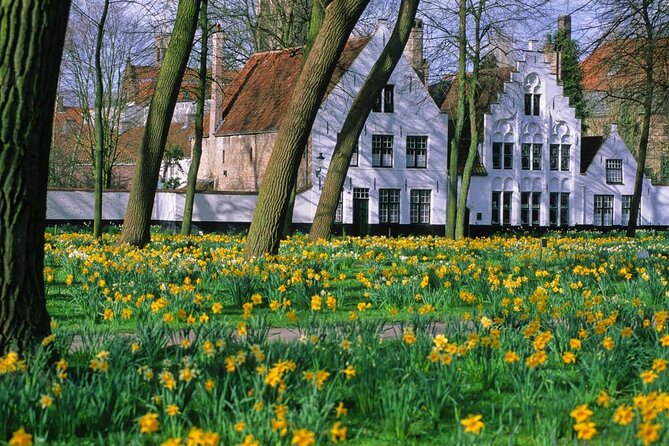 Bruges by bike with friends and family! - Exploring Bruges by Bike: An Authentic and Active Way to See the City