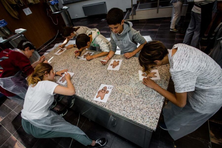 Bruges: Chocolate Making Workshop and Chocolate Museum Entry - Who Will Love This Tour?