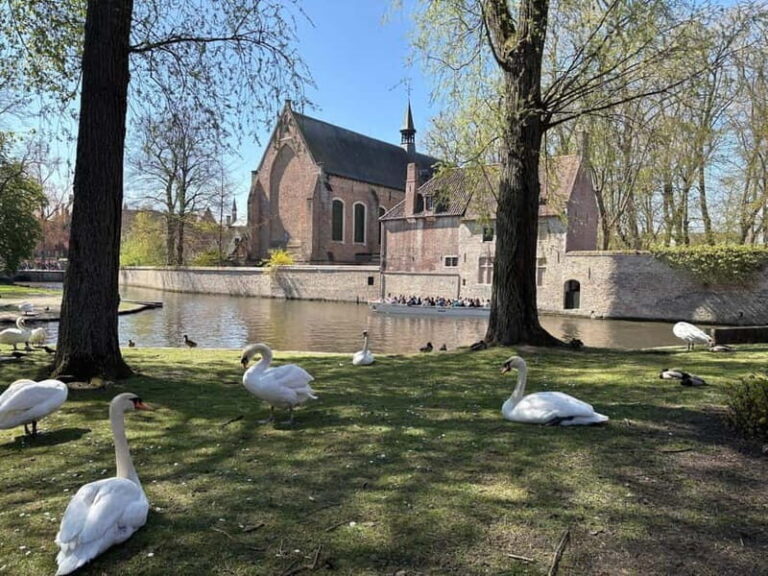 Bruges: highlights & hidden gems - private tour 2 hours - The Sum Up
