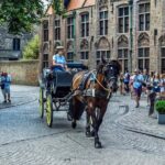 Bruges Highlights & Hidden Gems Small-group from Paris by Minivan - What to Expect from the Walks and Free Time