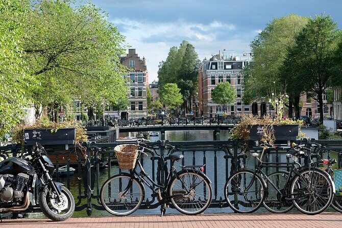 Bruges Tour from Amsterdam - What Travelers Say