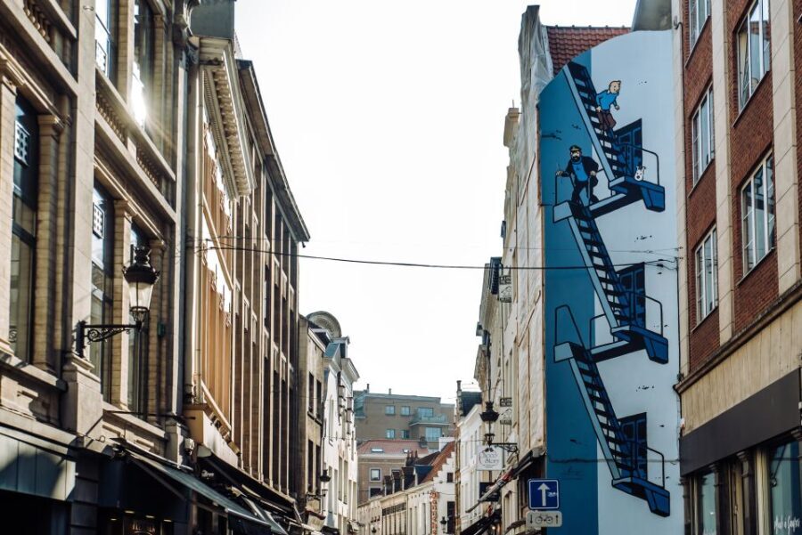 Brussels Comics & Street Art: Private Walking Tour - How the Tour Works and What to Expect