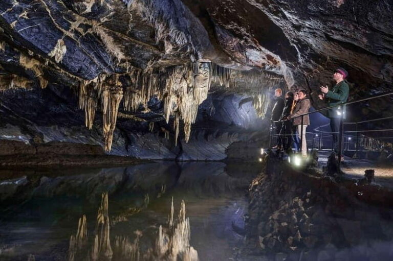 Brussels: Dinant and Cave of Han Guided Full-Day Tour - Exploring the Cave of Han: A Subterranean Marvel