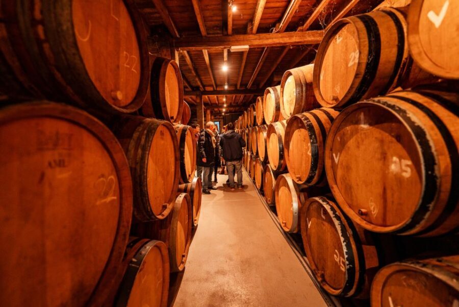 Brussels: Discover Belgium's Breweries with a Local - The Detailed Itinerary: What to Expect