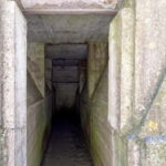 Brussels: Private World War I Tour: Trenches & Battlefields - An In-Depth Look at the Tour Experience