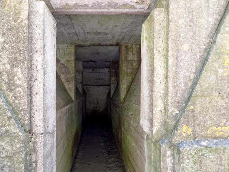 Brussels: Private World War I Tour: Trenches & Battlefields - An In-Depth Look at the Tour Experience
