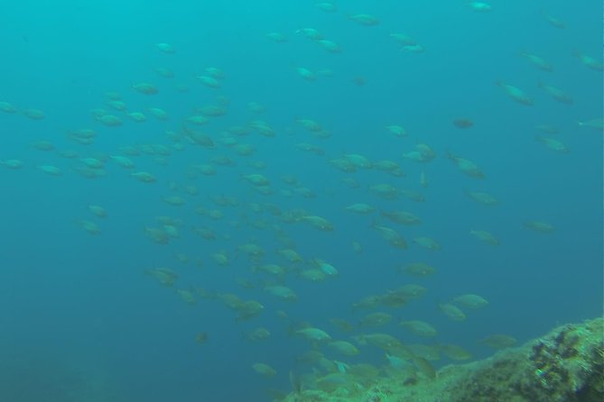 Bubble maker (scuba diving for children) - Key Points