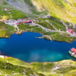 Bucharest: Bears Safari on Top Gear Road Transfagarasan - Exploring the Key Stops