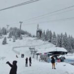 Bucharest: Carpathian Snowmobile Adventure Tour - What Travelers Are Saying