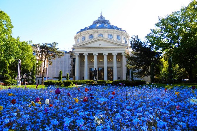 Bucharest Layover Tour (6 - Hour Private City Tour Between Flights) - Introduction