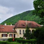 Bucharest: Peles Castle, Dracula's Castle and Brasov Tour - Who Should Consider This Tour?