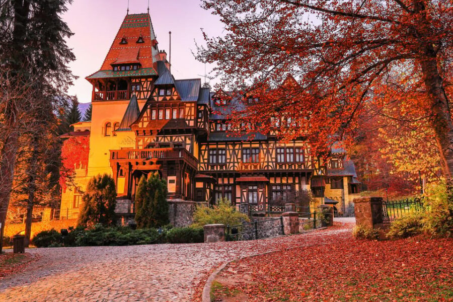 Bucharest: Peles/Dracula Castles and Brasov Private Tour - What’s Included & What’s Not