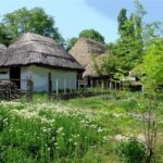 Bucharest: Private City Tour Guided Experience - Why This Tour Offers Good Value