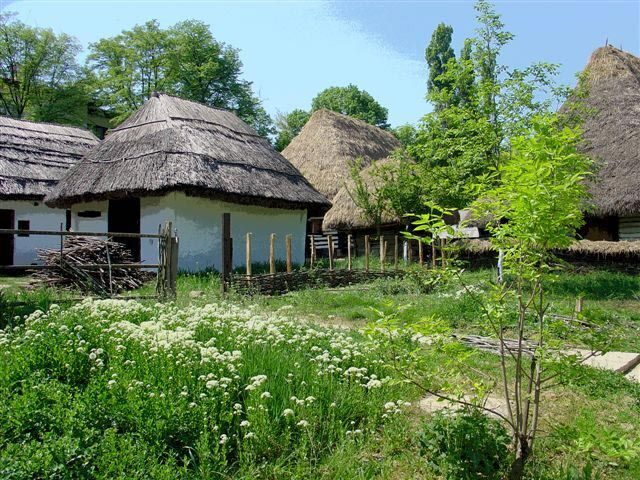 Bucharest: Private City Tour Guided Experience - Why This Tour Offers Good Value