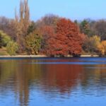 Bucharest Sightseeing Tour - Detailed Breakdown of the Itinerary