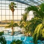 Bucharest: Therme Bucharest Entry Ticket and Transfer - What Makes This Tour Stand Out