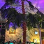 Bucharest: Therme Spa Night Experience with Transfer - Is It Worth the Price?