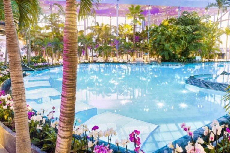 Bucuresti: Bucuresti Therme Transfer and Full-Day Access - The Experience in Detail
