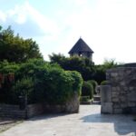 Buda Castle: Private Walking Tour - Walking Through Buda Castle: What to Expect