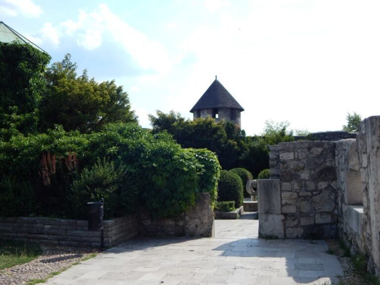 Buda Castle: Private Walking Tour - Walking Through Buda Castle: What to Expect