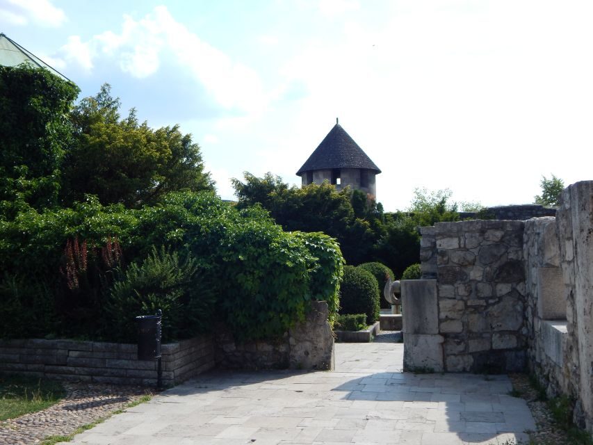 Buda Castle: Private Walking Tour - Walking Through Buda Castle: What to Expect