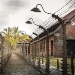 Budapest: Auschwitz Birkenau Private Day Tour - What Makes This Tour Stand Out?