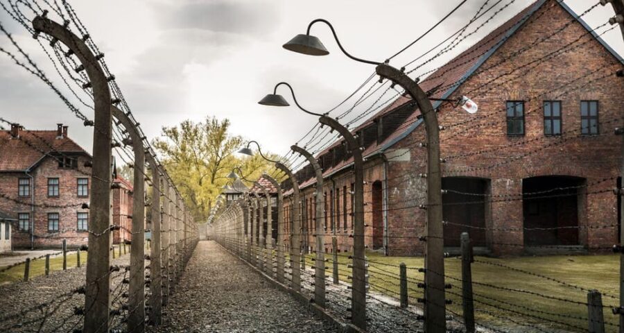 Budapest: Auschwitz Birkenau Private Day Tour - What Makes This Tour Stand Out?