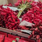 Budapest: Hungarian Cuisine in the Market Hall (german) - What’s Included and How It Adds Value