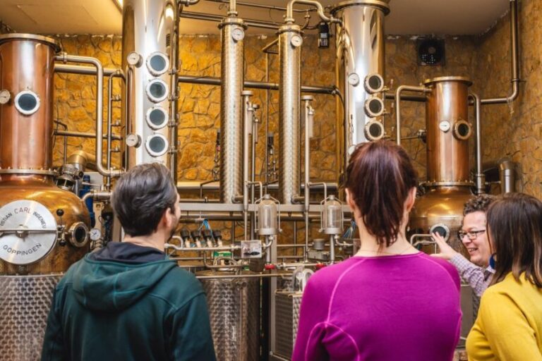 Budapest: Hungarian Whisky, Gin, and Pálinka Tasting - The Value of the Cost