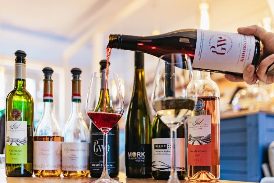 Budapest: Hungarian Wine Tasting with 7 Wines and Tapas - What’s Included and What to Expect