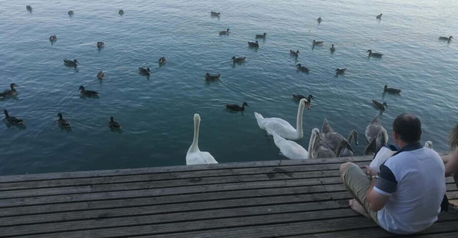 Budapest: Lake Balaton & Herend Porcelain Private Day Tour - Practical Tips for Future Travelers