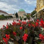 Budapest: Private Walking Tour with a Local Guide - Who is this tour best suited for?