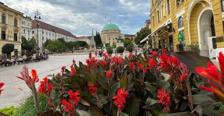 Budapest: Private Walking Tour with a Local Guide - Who is this tour best suited for?