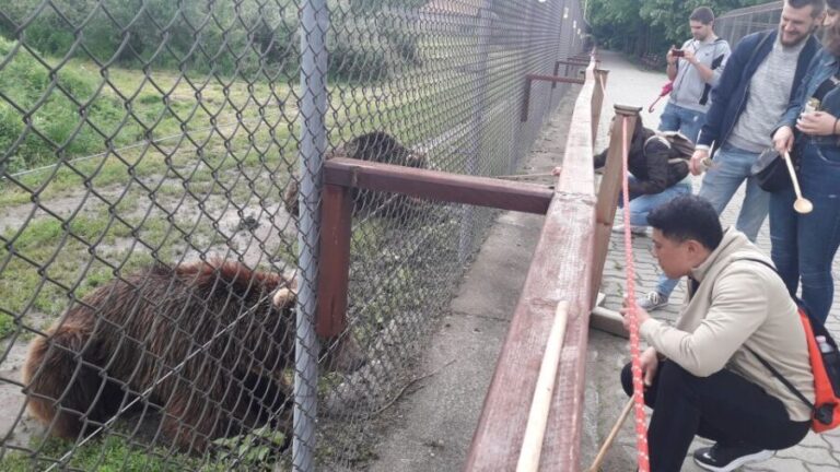 Budapest: Transport & Guided Tour of Bear and Wolf Sanctuary - The Scenic Drive and Enriching Commentary