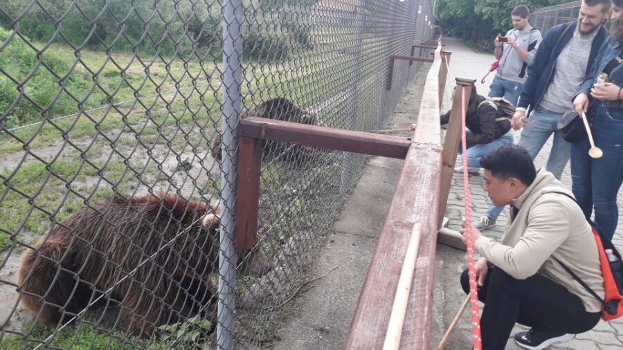 Budapest: Transport & Guided Tour of Bear and Wolf Sanctuary - The Scenic Drive and Enriching Commentary