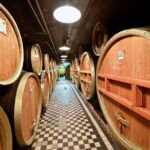 Budapest Tuk Tuk Tour with House of the Unicum Distillery Visit - What Travelers Say