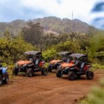 Buggy Adventure in Madeira off Road - Authentic Experiences and Real Reviews