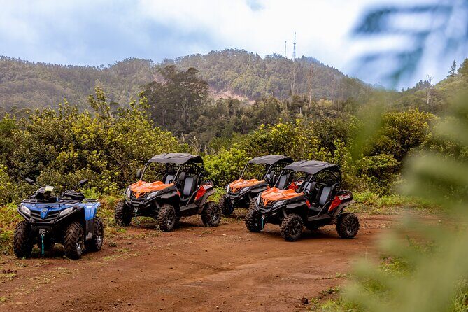 Buggy Adventure in Madeira off Road - Authentic Experiences and Real Reviews