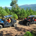 Buggy Family Experience - 60 to 120 minutes - What Makes This Experience Unique