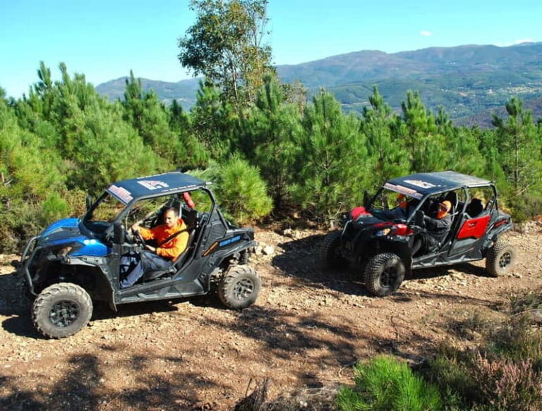 Buggy Family Experience - 60 to 120 minutes - What Makes This Experience Unique