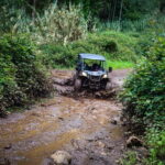 Buggy FunTrip Madeira - Off-Road Valley Adventure Tour - Why Choose This Tour?