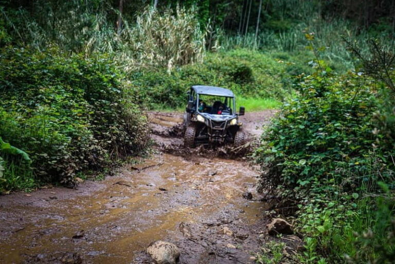 Buggy FunTrip Madeira - Off-Road Valley Adventure Tour - Why Choose This Tour?