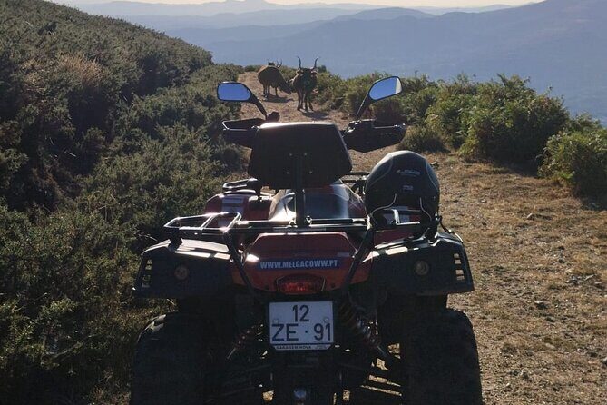 Buggy or Moto4 tour through Melgaço - Final Thoughts