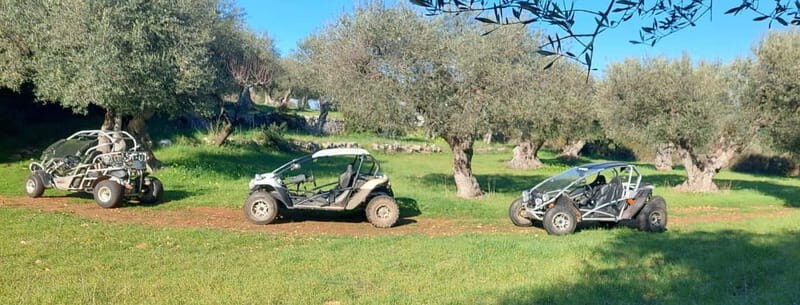 Buggy/Quad excursions in Puglia with 4-seater buggies available on request. - Discover Puglia on a Fun and Cultural Off-Road Adventure
