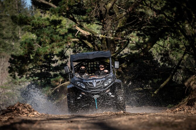 Buggy Tour in Serra da Lousã 2Hours - Review of the Buggy Tour in Serra da Lousã: Explore Nature and Adventure