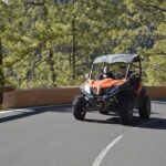 Buggy Tour Volcano Teide in Teide National - An In-Depth Look at the Buggy Experience in Tenerife