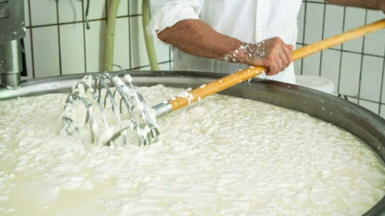 Burgos: Sardinian pecorino cheese workshop - Authenticity and Overall Value