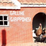 Burgos: visit to a farm with tasting - FAQ